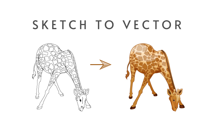 Vector Tracing, Redesign And Clean Up Logo | Legiit