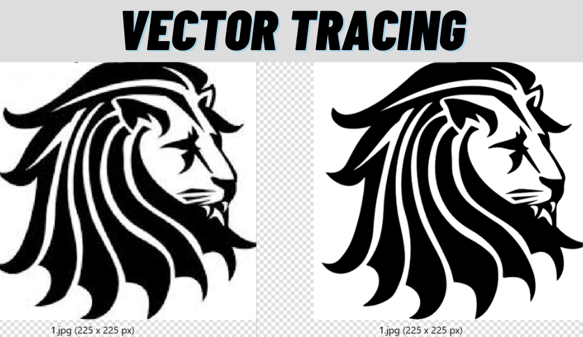 Vector Tracing Restore Image | Legiit