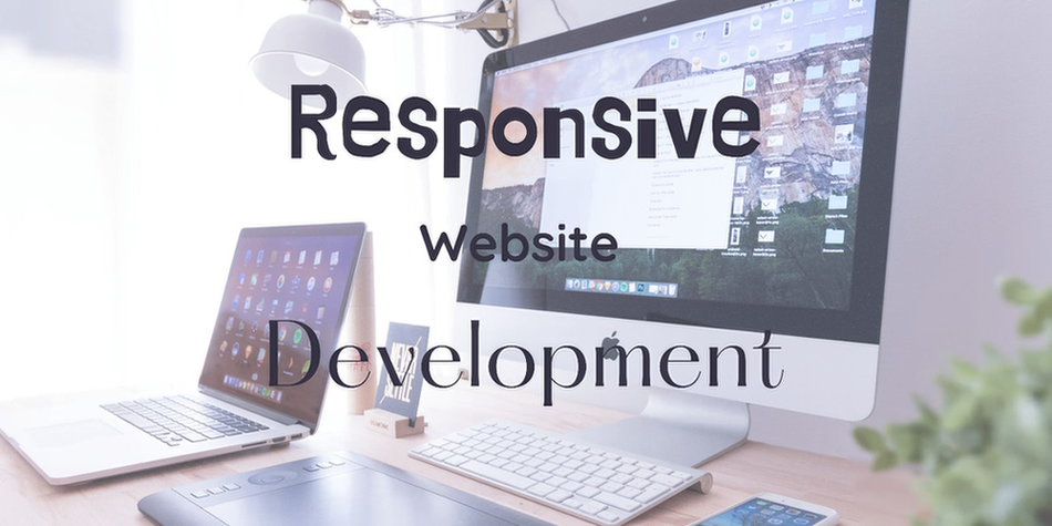 Develop A Business Website With HTML CSS | Legiit