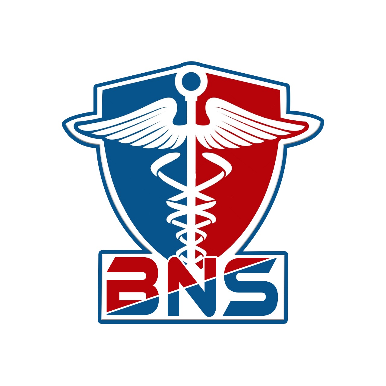 Professional Logo's | Legiit