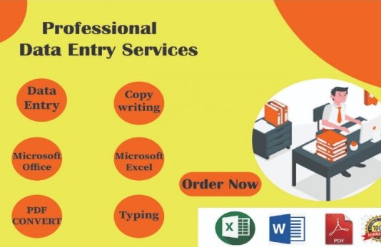 Data Entry Excel & Ms Word And Work As A VA | Legiit