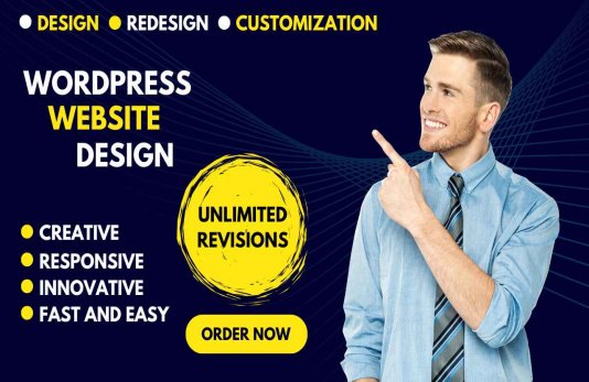 Design And Redesign Professional Wordpress Website | Legiit