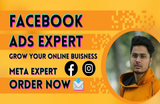 Facebook Ads Setup And Manage | Legiit