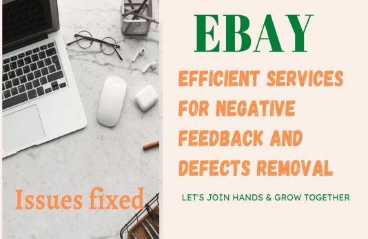 Remove Ebay Defects And Negative Feedback | Legiit