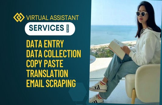 Virtual Assistant, Do Data Entry, Student Email | Legiit