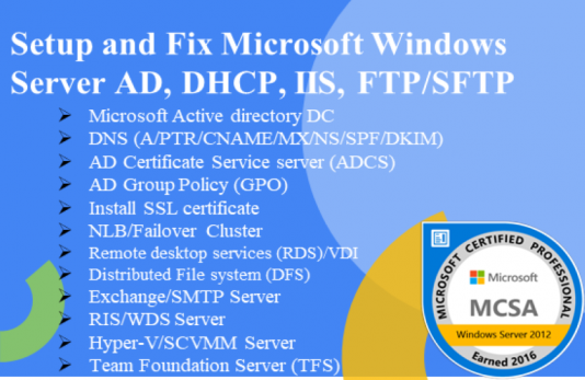 Setup Microsoft Windows Server AD, GPO, DNS, IIS | Legiit