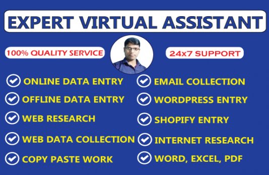 I Will Be Your Virtual Assistant For Data Entry, Copy Paste, Web Research Work | Legiit