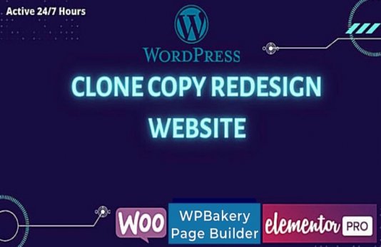 Clone Copy Redesign Website Use Elementor Pro | Legiit