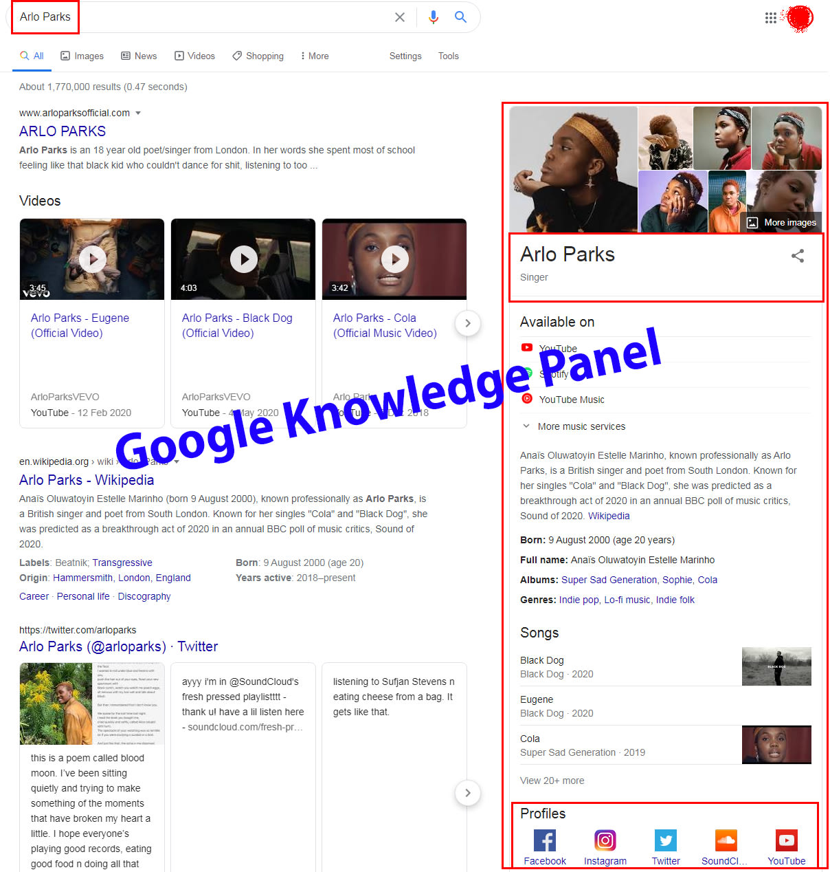 Make Google Knowledge Panel For Person Or Company | Legiit