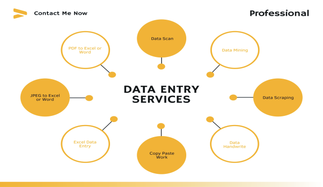 Professional Any Data Entry Typing Work | Legiit