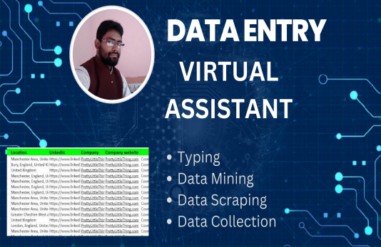 Virtual Assistant From Typing To Web Research | Legiit