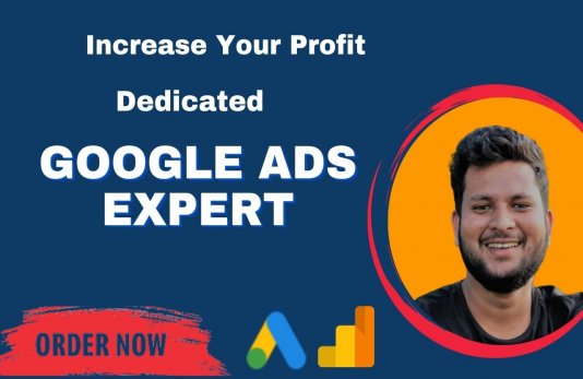 Setup And Optimize Your Google Ads PPC Campaign | Legiit