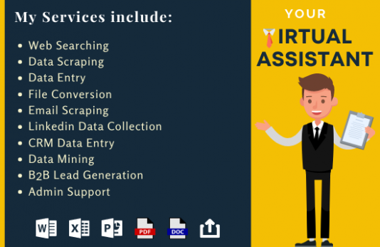 Web Research| Data Scraper | Virtual Assistant | Data Mining | Data Entry Expert | Legiit