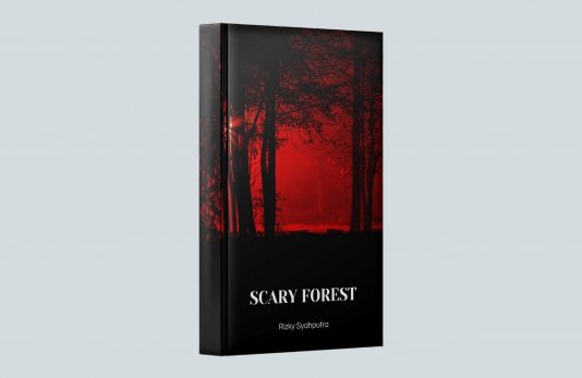 Design A Unique And Attractive Book Cover Design | Legiit