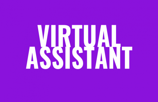 Web Research & Data Entry Virtual Assistant | Legiit