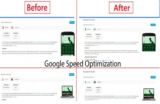 Do Advanced Speed Optimization For WordPress Website (Load In Below 2s) | Legiit