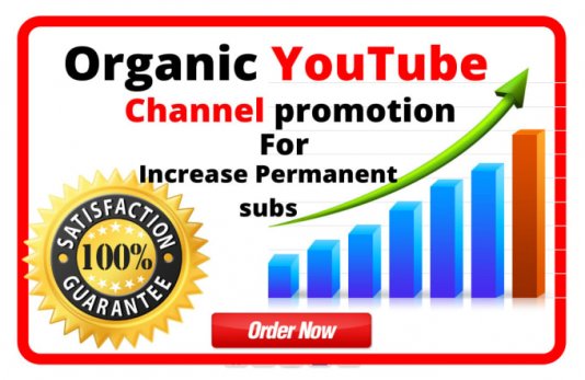 Organic YouTube Promotion. YouTube Promotion. | Legiit