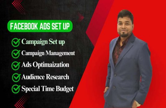 Facebook Ads Setup And Manage Campaigns | Legiit