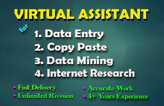 Virtual Assistant For Data Entry Lead Generation Scraping Mining | Legiit