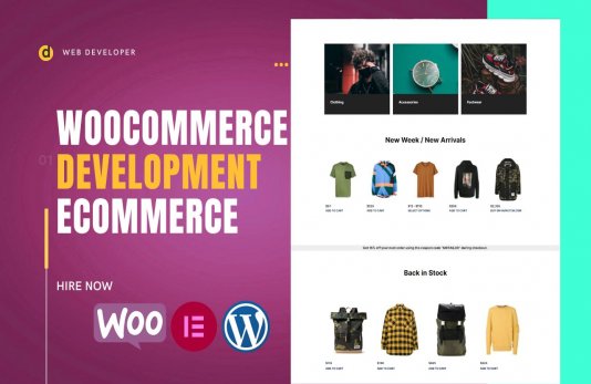 WordPress Ecommerce Website Design | Legiit